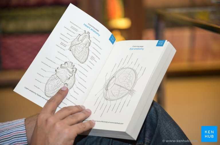 Top 10 Anatomy Books For Ophthalmology Students Ophthalmology Library Top 10 Anatomy Books For Ophthalmology Students Ophthalmology Library