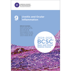 2024-2025 Basic And Clinical Science Course, Section 09: Uveitis And Ocular Inflammation ...
